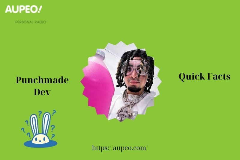 Punchmade Dev Net Worth 2025: Salary, Wealth, and Financial Overview